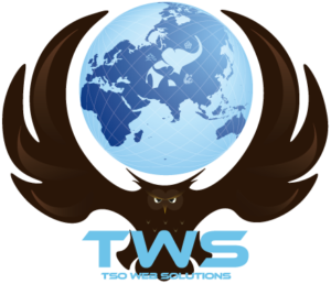 採用特化事業 | 株式会社TWS